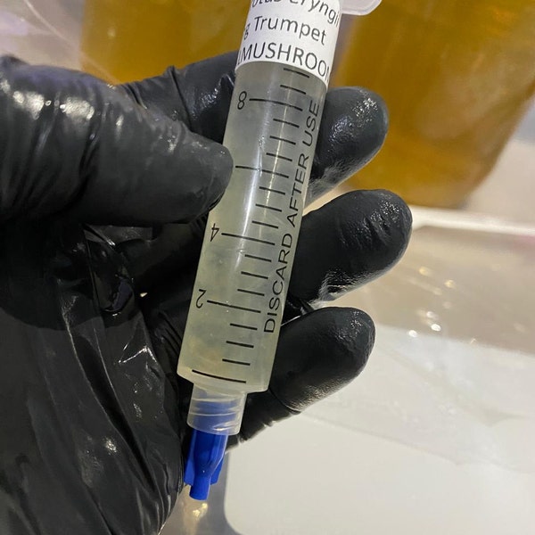 CORAL TOOTH Liquid Culture Mushroom Syringe Hericium Coralloides ...
