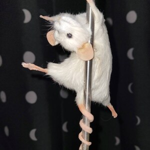 Circus Hoop Taxidermy Mice. | Etsy