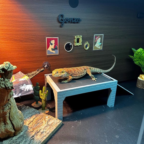 Bearded Dragon Eating Giant Burrito Tank Decor - 3x4 Art - Bearded ...