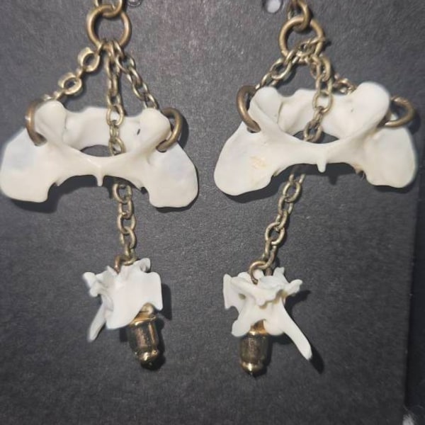 Snake Earrings, Bone Earrings, Gothic Jewelry, Bone Jewelry, Real Bone ...