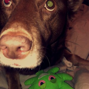 Dooby's blunt Cigar Hemp Dog Toy - Etsy