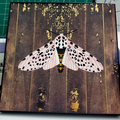 Enchanted Forest 3D Shadowbox SVG Cricut Project Instant - Etsy