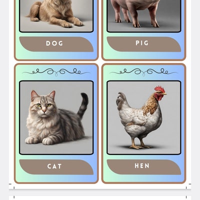 ANIMALS FLASHCARDS 40 Cards A6 Stickers Flash Cards Pdf Printable Cards ...