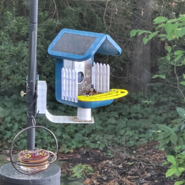 Pole Mount for Bird Buddy Feeder With Set Screw, Mounting Screws and ...