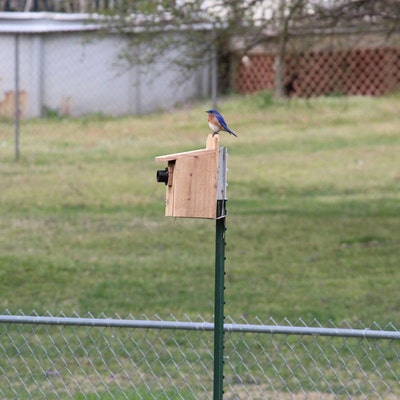 2 Cedar Bluebird Houses-hand Crafted, Rough Cut Cedar - Etsy