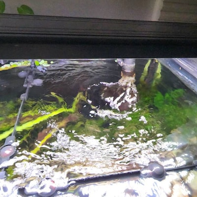 Aquarium Floating Plant Barrier fishnacks FB Customizable Kit, Corral ...