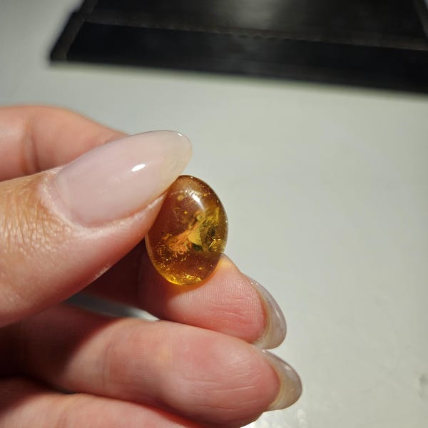 The Larimar Treasure Map From the Dominican Republic on A Layered Wood ...