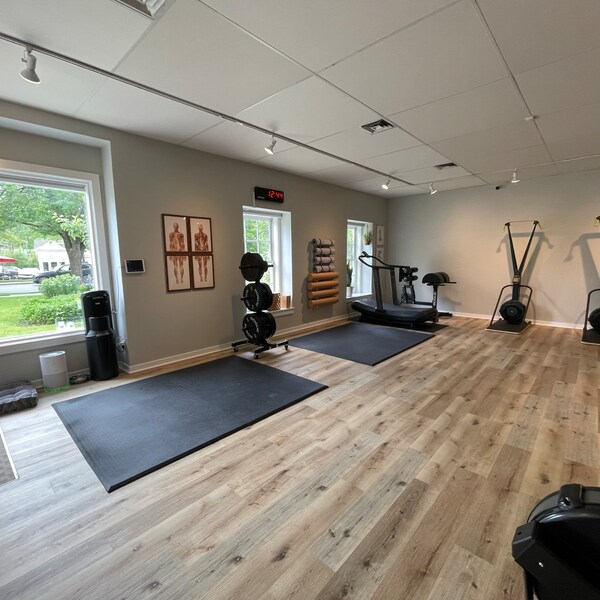 Human Anatomy MUSCLE System Wall Art Set - Fine Art Prints / Posters of ...