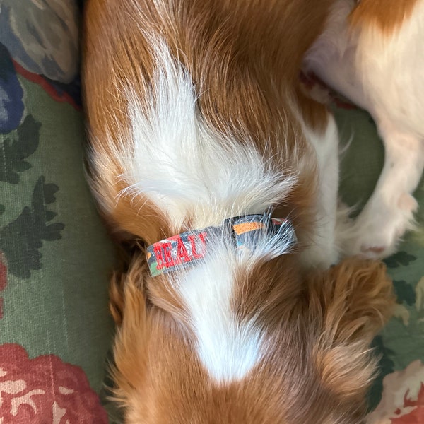 Dog Collar, Embroidered Dog Collar, Personalized Dog Collar, Fish Dog ...