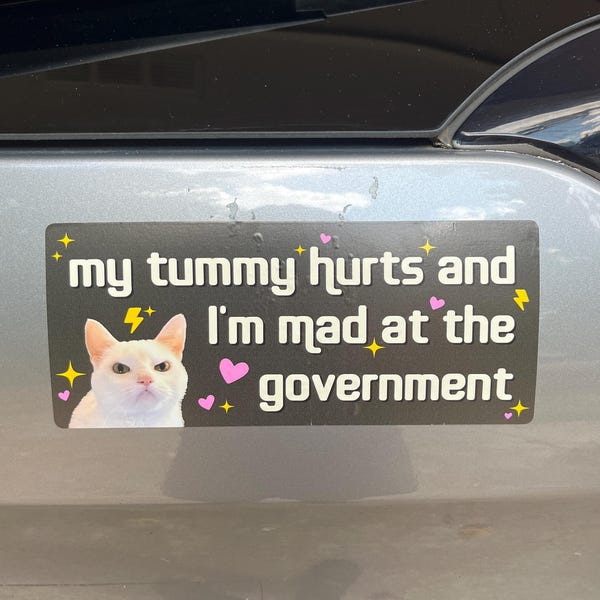 My Tummy Hurts and I’m Mad at the Government 7" Bumper Sticker or ...