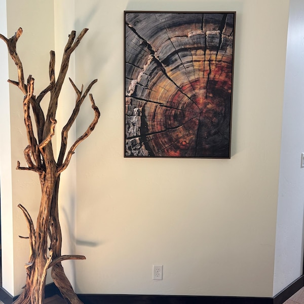 Tree Ring Rustic Framed Wall Art, Tree Stump Art, Detailed Wood Texture ...