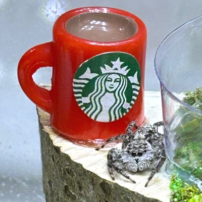 Made-to-order Wizard's Study Jumping Spider - Etsy