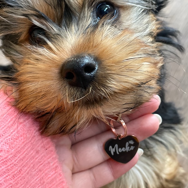 Pet Princess Prince Tags Engraved, Stainless Steel Available in Silver ...