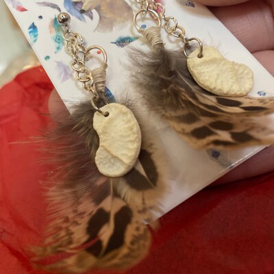 Real Mole Bone Displays. Bone Display. Mounted Mole Bones. - Etsy UK