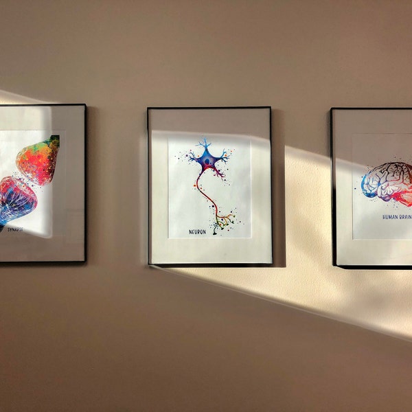 DIGITAL DOWNLOAD Neuron Art Brain Cell Anatomy Poster Watercolor Print ...