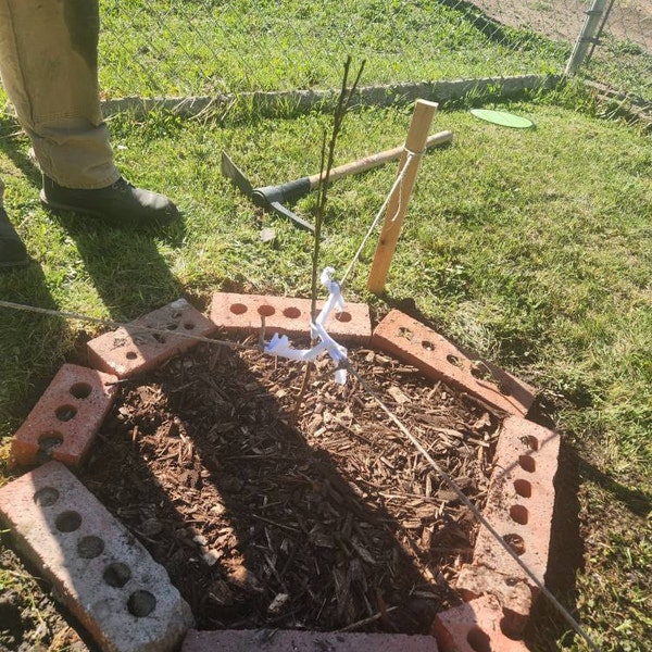 Vintage Indiana Tractor License Plate Vintage Plate, Old License Plate ...