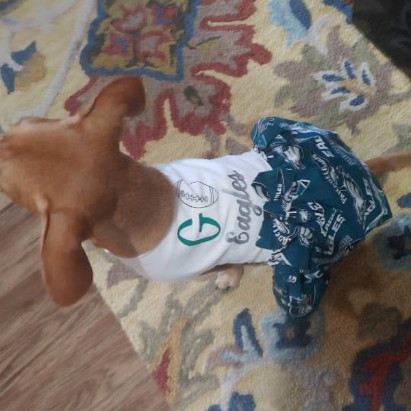 Kentucky Derby Dog Dress, Kentucky Derby Dog Outfit, Girl Dog Outfit ...