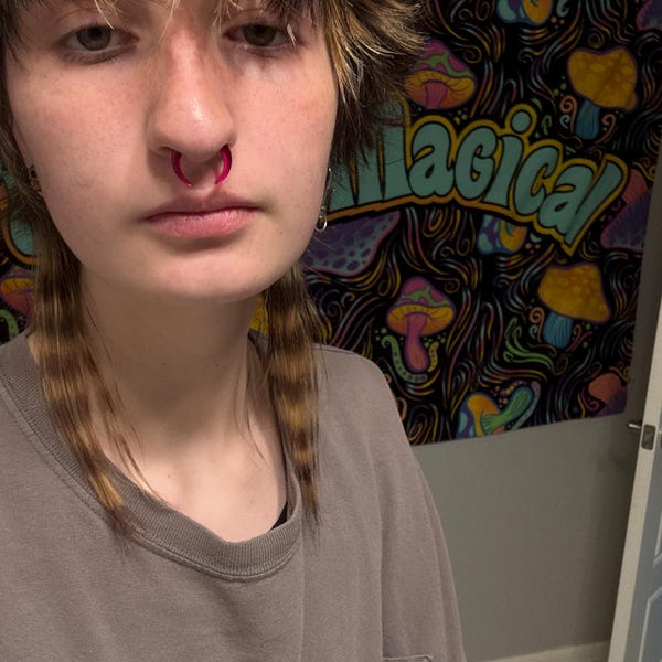 2 PCS Acrylic Crescent Septum Pincher/ear Gauges Tapers/tapered Buffalo ...