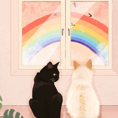 Gemini Cat Print, Zodiac Star Sign A4, A3, A2, 5x7, Cat Astrology ...