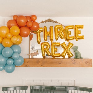 Rustic Retro DIY Balloon Kit Fall Wedding Balloon Arch Slate Rustic ...
