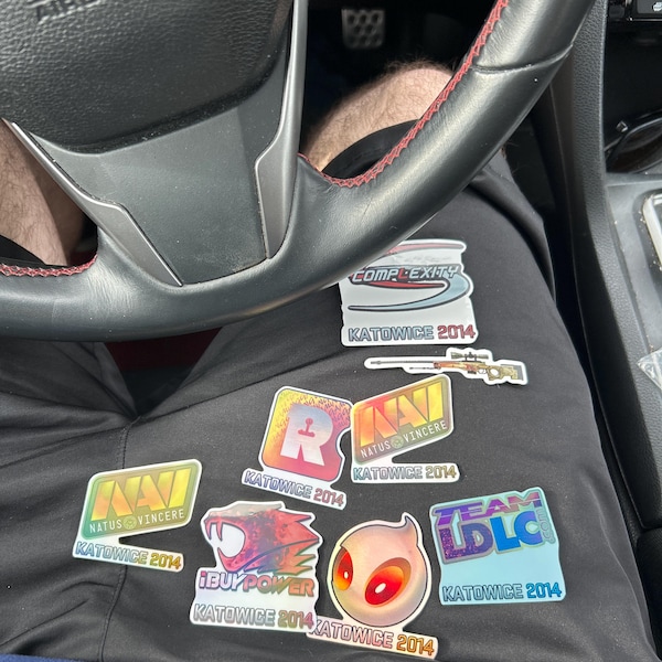 Titan Holo Katowice 2014 CSGO CS Counter Strike CS2 Sticker (holo ...