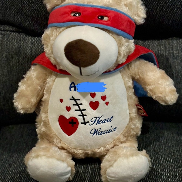 Personalised Teddy Bear, Embroidered Teddy Bear, Customised Plush Toy ...