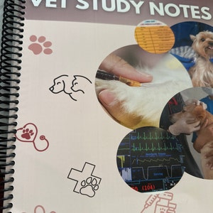 Decoding Lab Works Vet Good Notes Planner Notes Template Study Planner ...