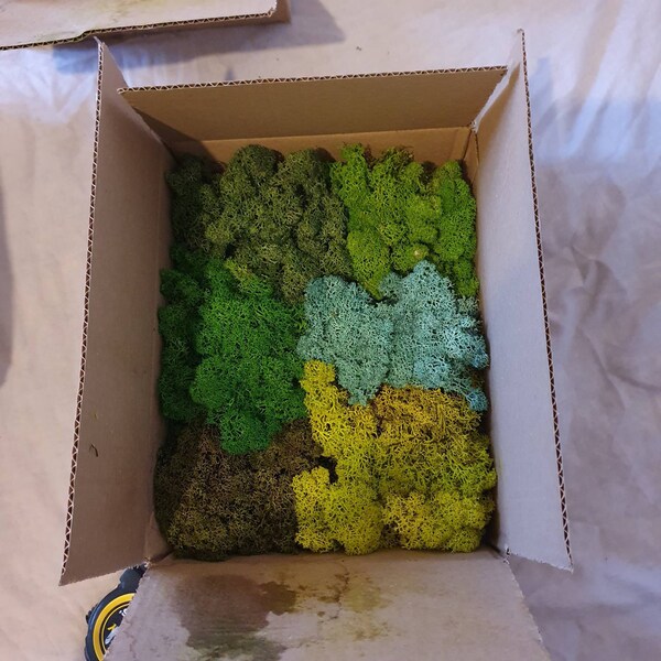 Box With Premium Natural, Preserved Reindeer Moss, Ball Moss, Flat Moss ...