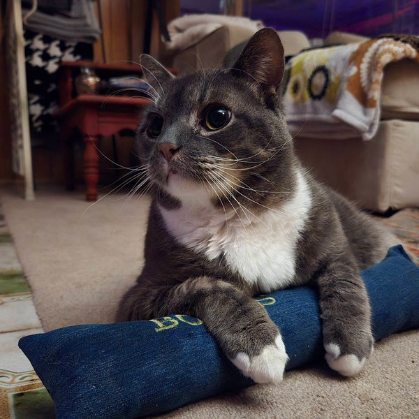 16” Catnip Toy - Large Kicker - Cat Toy - Cat Gift - Organic Catnip ...