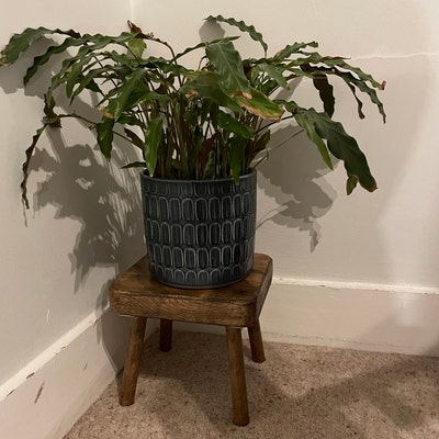 Rustic Wooden Plant Pot Stand Family - Etsy