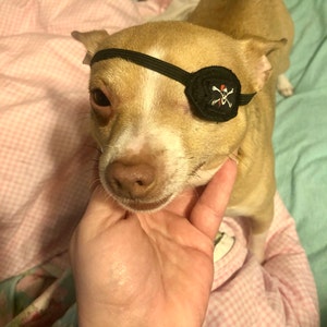 Custom Eye Patch for Dogs or Cats 100 % Cotton/ No Felt | Etsy