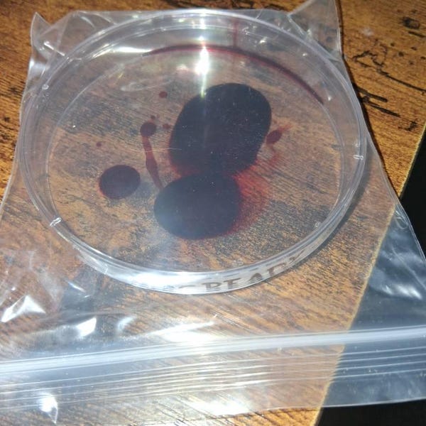 Three Seashells Demolition Man Replica Prop Display - Etsy