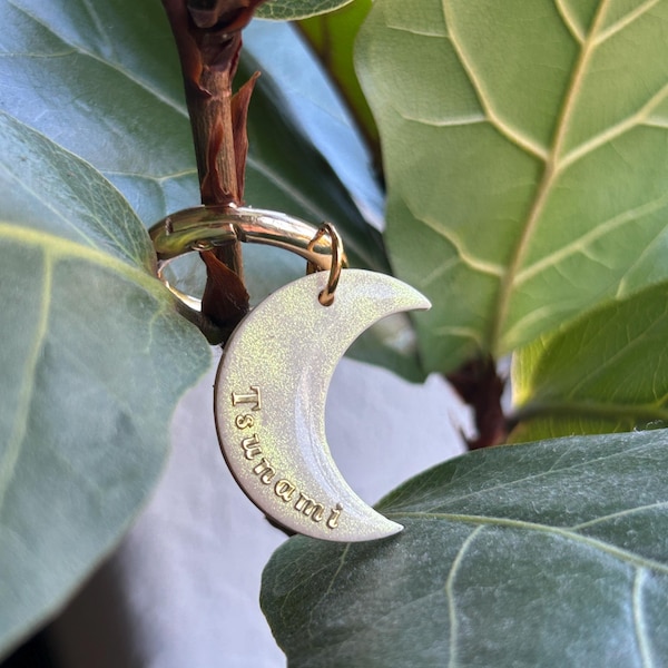 Checkered Pet Tag, Green and White Dog Tag, Custom Pet Tag, Clay Tag ...