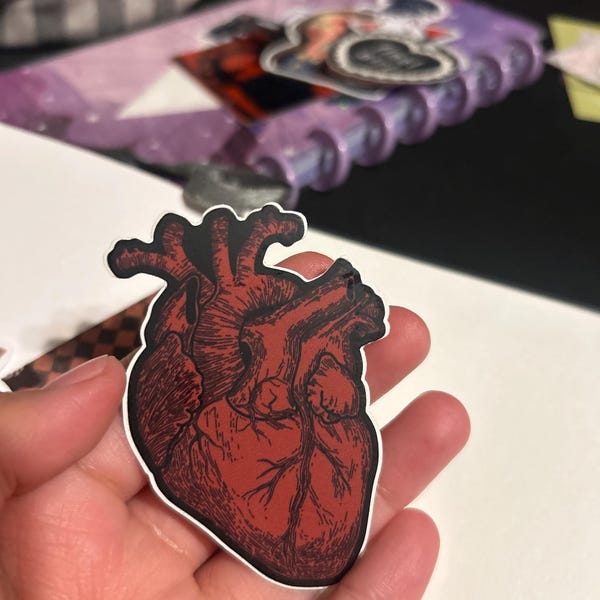 I KNOW THE END Sticker ~ Phoebe Bridgers Skeleton Sticker, Gothic ...