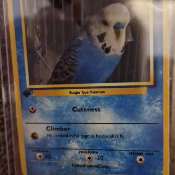 Homer Simpson ID Card Novelty Fake Replica Plastic Card Prop Funny Gift ...