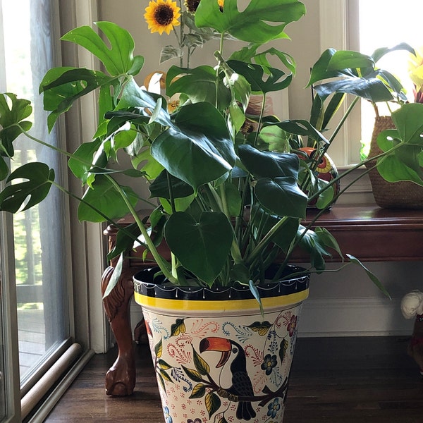SALE: Tfpl-talavera Planter Large Decorative Toucan Ceramic Flowerpot ...