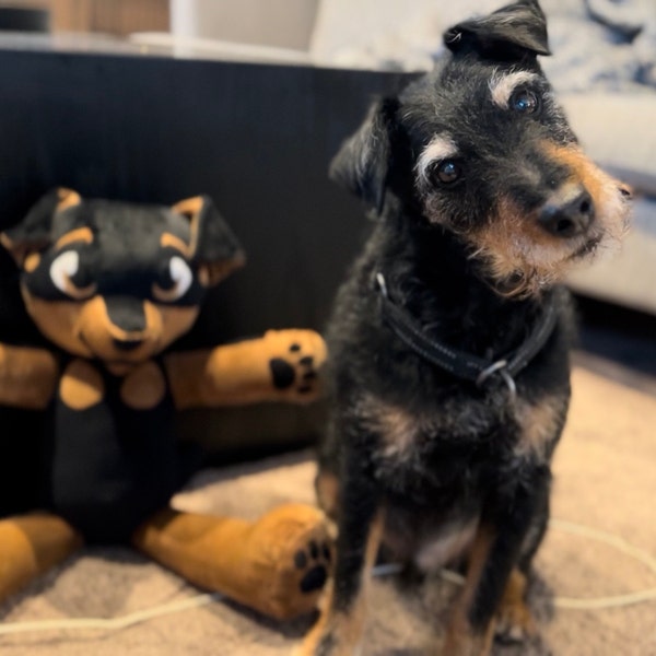 Plush Sewing Pattern PDF Furry Anthro Floppy 20in Plushie - DIY Ebook ...