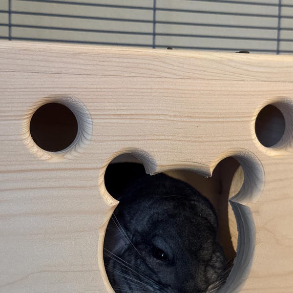 Chinchilla Hut Hideout House Free Standing House for Chinchilla Kiln ...