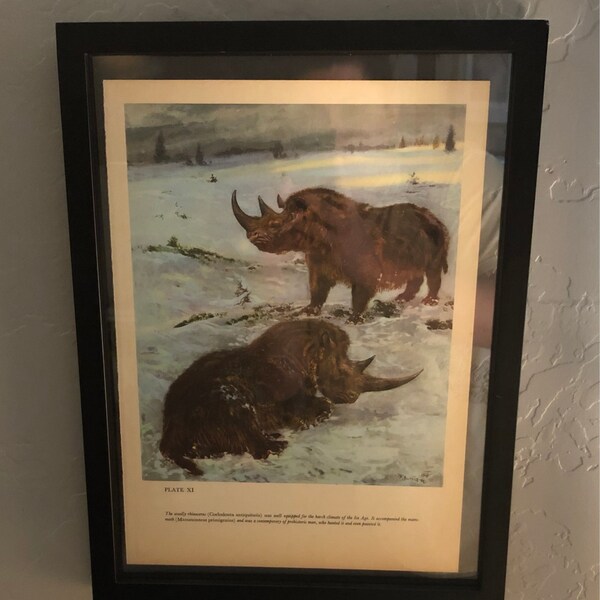 1954 "tyrannosaurus" by William Scheele in Black Custom 11x14 Mat ...