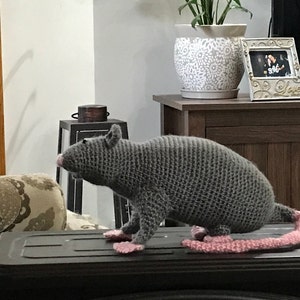 Digital Crochet Pattern Realistic Rat - Etsy
