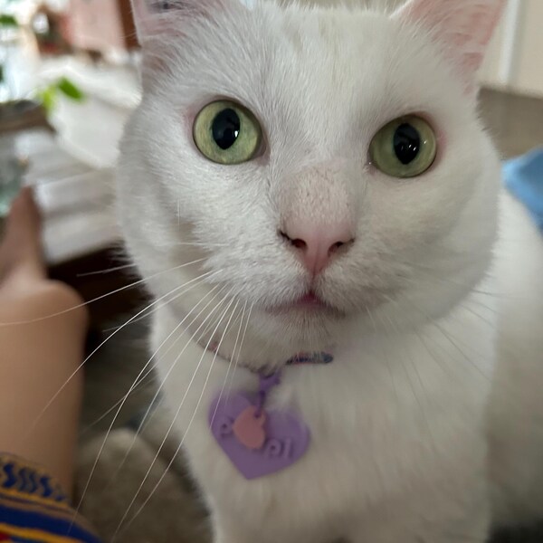 Cycle Shape Pet Tag,3d Printed Name Tag, Personalised Pet Tag, Dog Tag ...