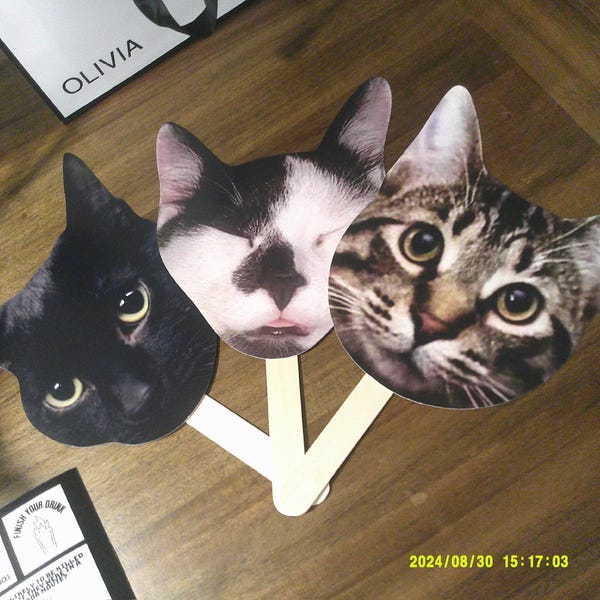Face on A Stick Big Head Cutouts Pet Dog Cat Birthday Party Decor Fat ...