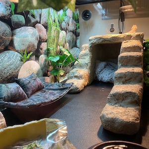 Custom Large Reptile Bearded Dragon Basking Platform MADE TO | Etsy