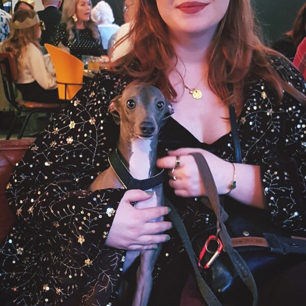 BLACKFISH Mystique Golden Sun Sticker (different Sizes Available) 1 ...