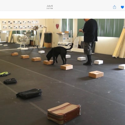 AKC Scent Work Training Kit - Etsy