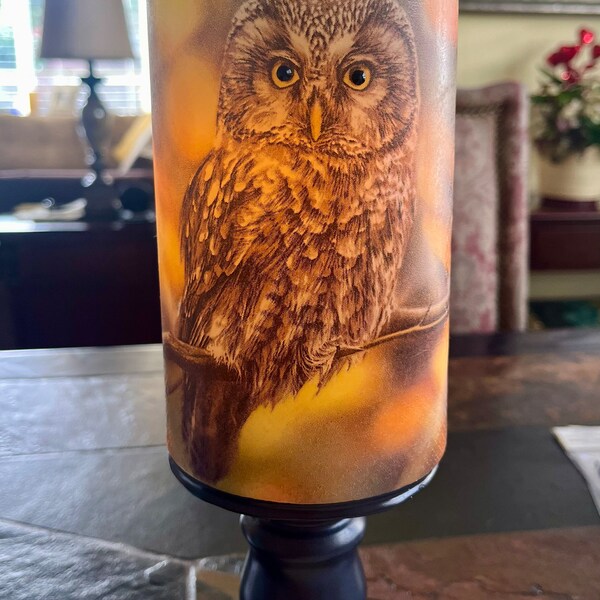 FREE SHIP Two Paper Luncheon Decoupage Art Craft Napkins design 421 OWL ...