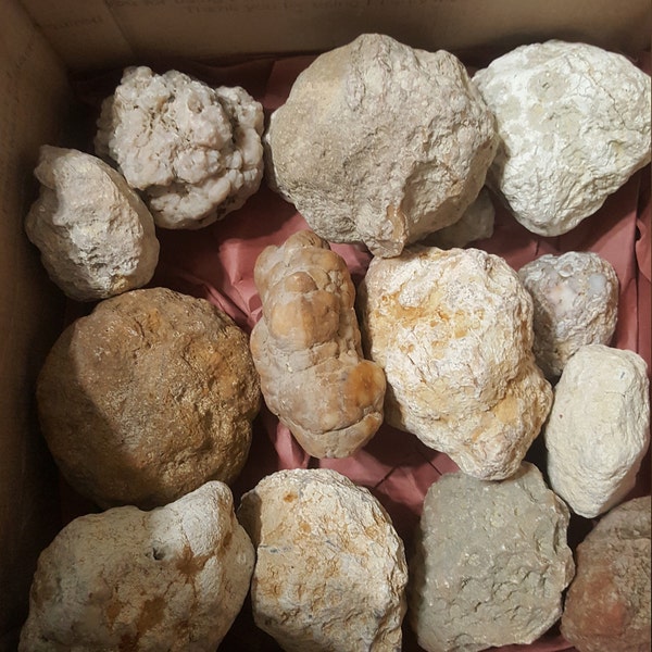 Unopened Geodes (8-10 Lbs) – Break Your Own Quartz Crystals, Uncut ...