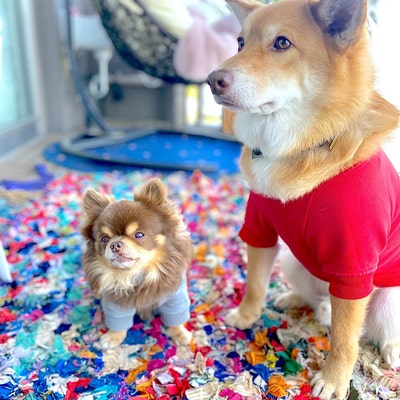 Custom Moroccan Door With Carvings Custom Wood Berber Wood - Etsy