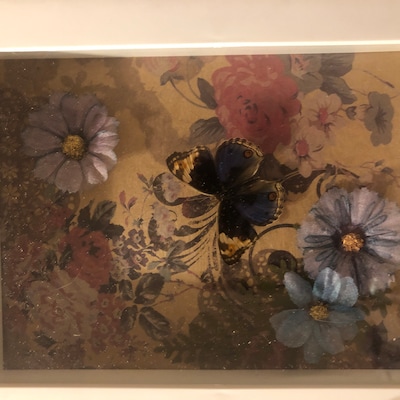 Atlas Moth, Framed Taxidermy Moth Display, Insect Wall Art, Natural ...