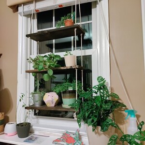 Window Plant Shelf Hanging Window Shelf 3 Tiered Window - Etsy